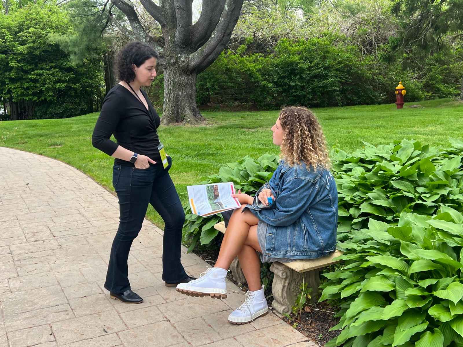 Values in Action Certificate Program - The Institute for Experiential ...